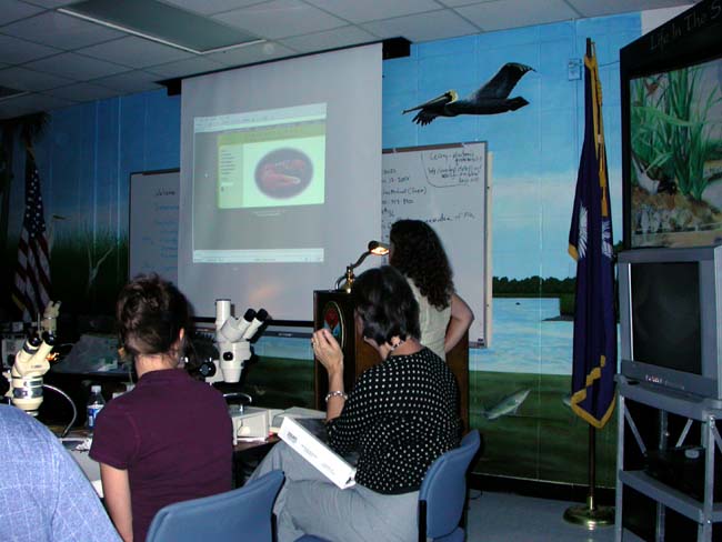 SERTC: Amphipod Workshop